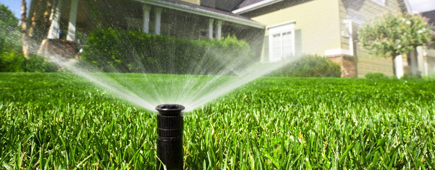 Смарт Полив