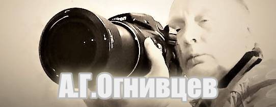 Video - А.Г.Огнивцев  NSNBR!