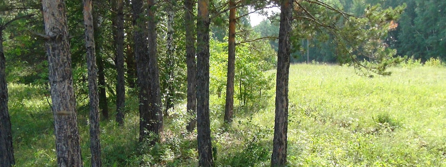 Виталий Клюев о жизни и себе