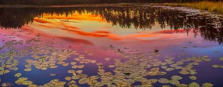 Дмитрий Kursk