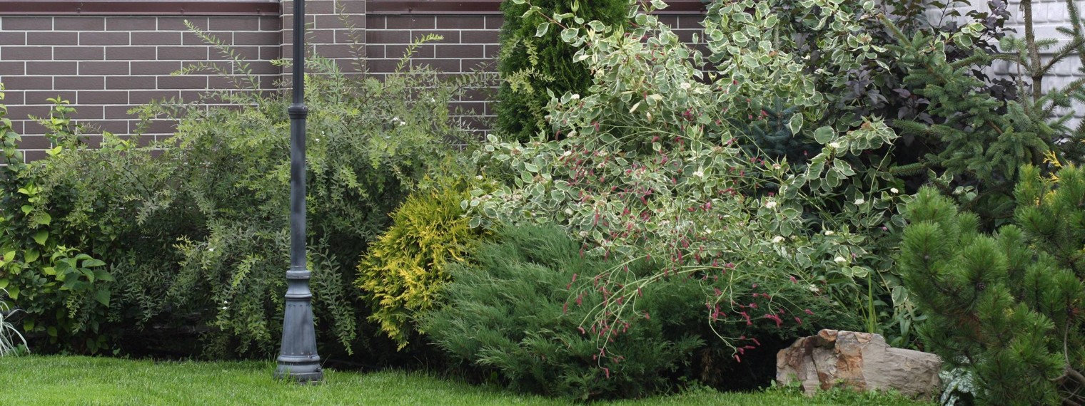 Ольга Минченко  дизайнер пространства