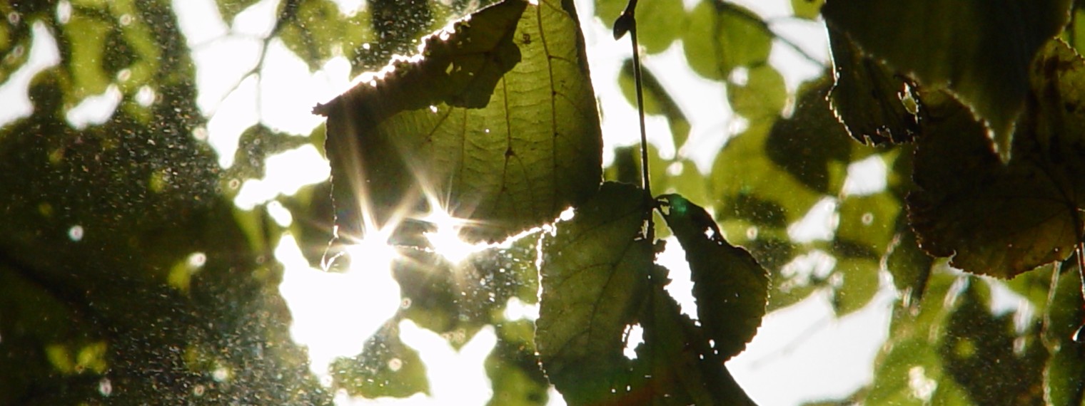 Полезное видео