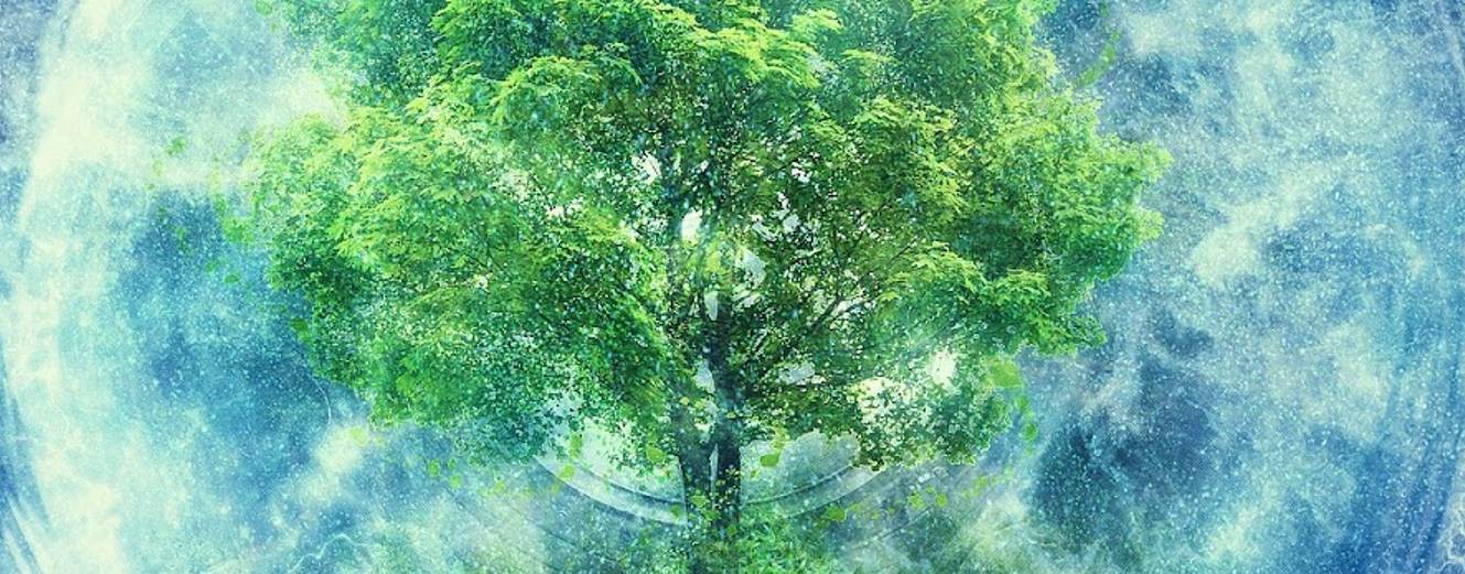 Школа Эзотерики "Древо Знаний" Натальи Луценко.