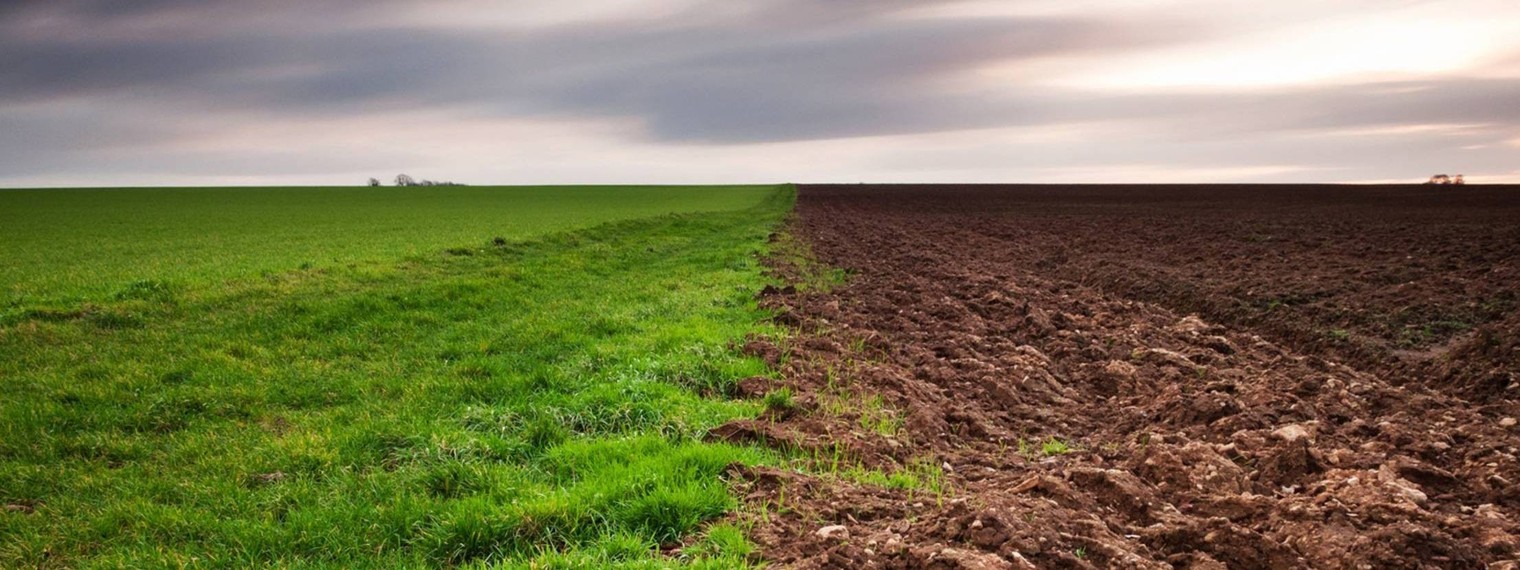 В активном поиске Клада