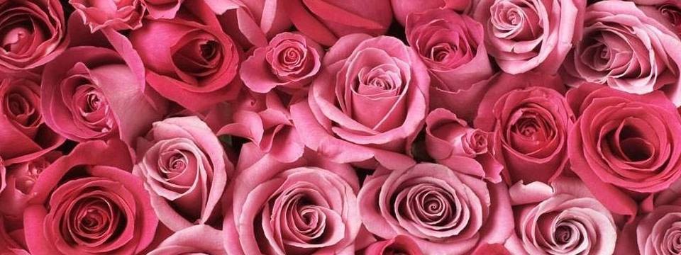 Театр цветов Людмилы Ломоносовой.