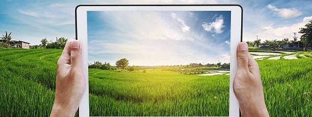 ТехнозайкаПомогайка