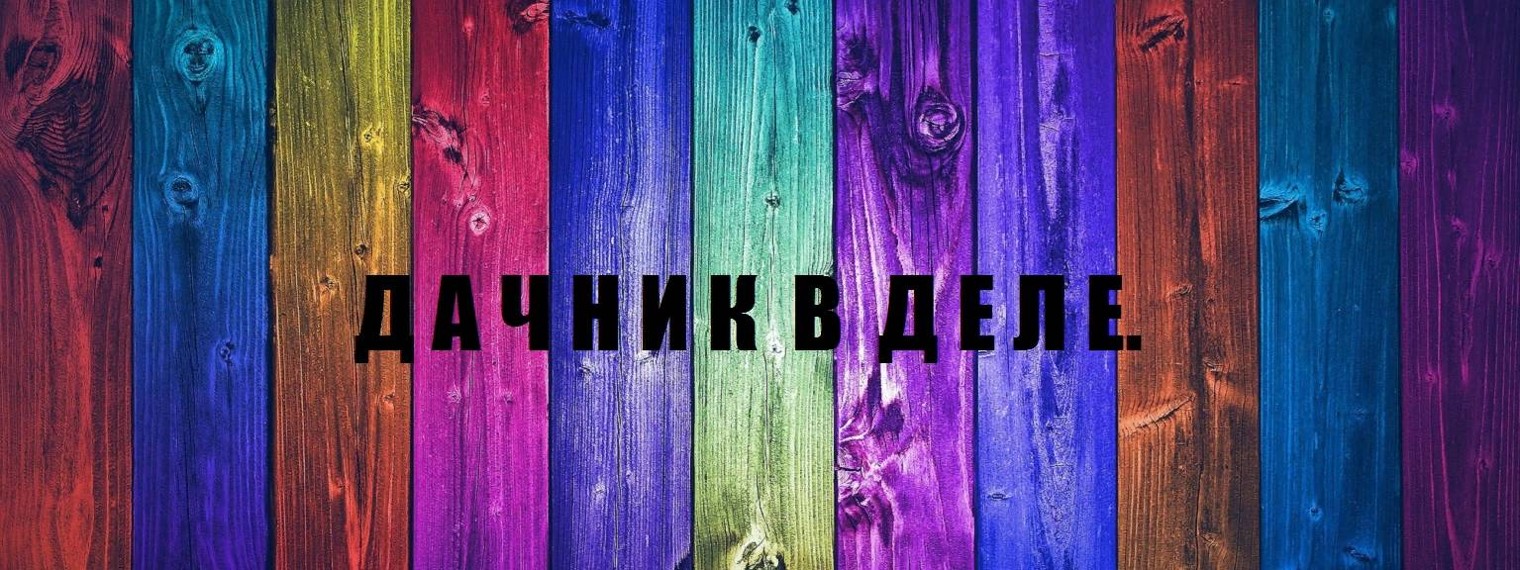 ДАЧНИК В ДЕЛЕ