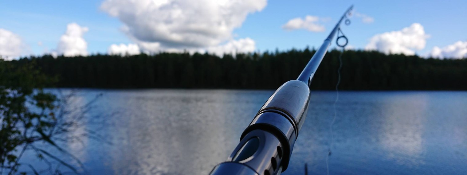 Всё о рыбалке