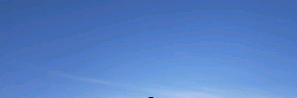 Александр Сергеевич.