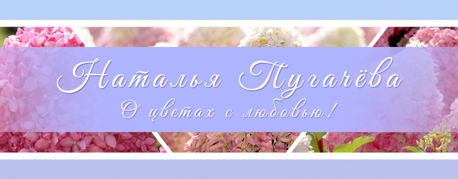 Наталья Пугачёва