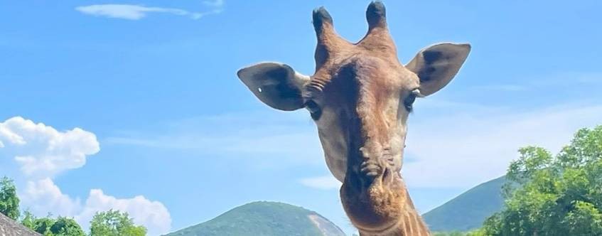 В отпуск и точка!