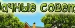 Дачные советы Галины Старосельцевой