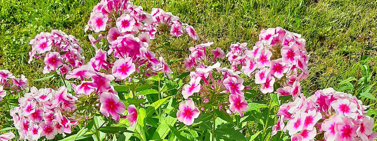 Андрей Викторович