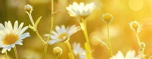 Сама Природа