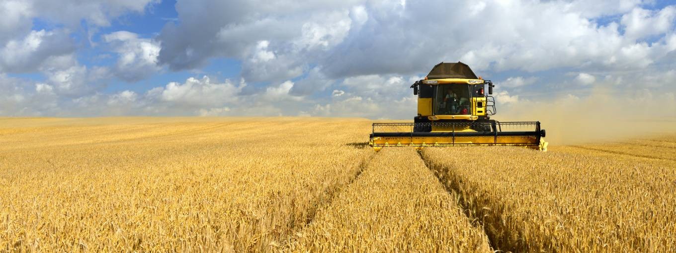 Управление Россельхознадзора по ИО и РБ