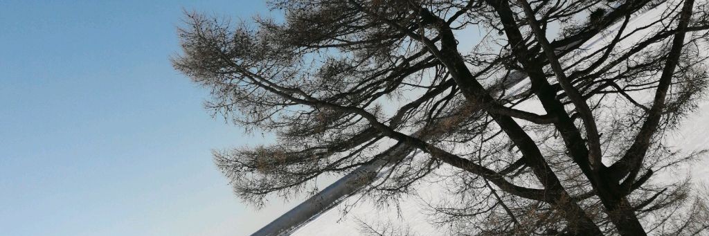 Mikhailka tytyshka👌