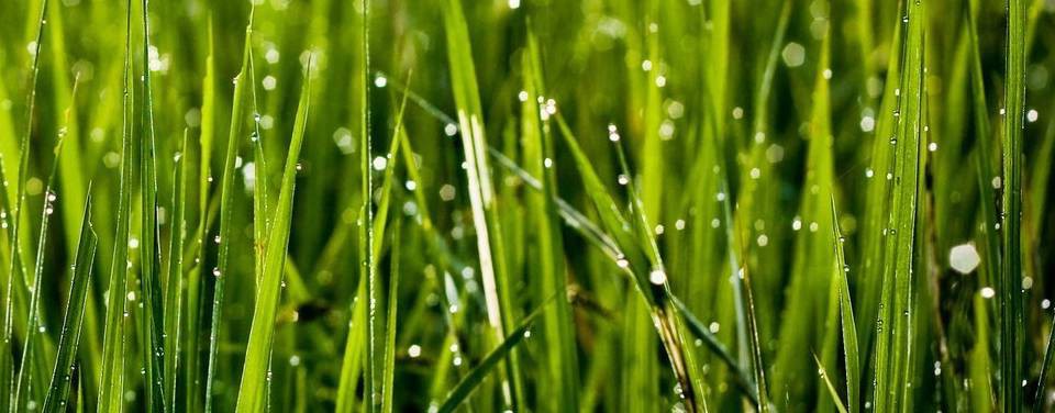 Не наступая на грабли