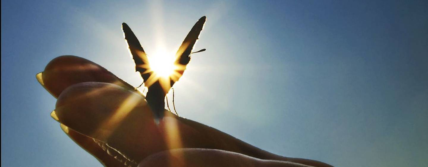 Светландия