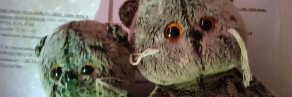 Басик ТВ!😻