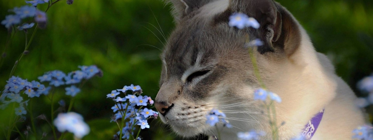 Владимир  Стулий