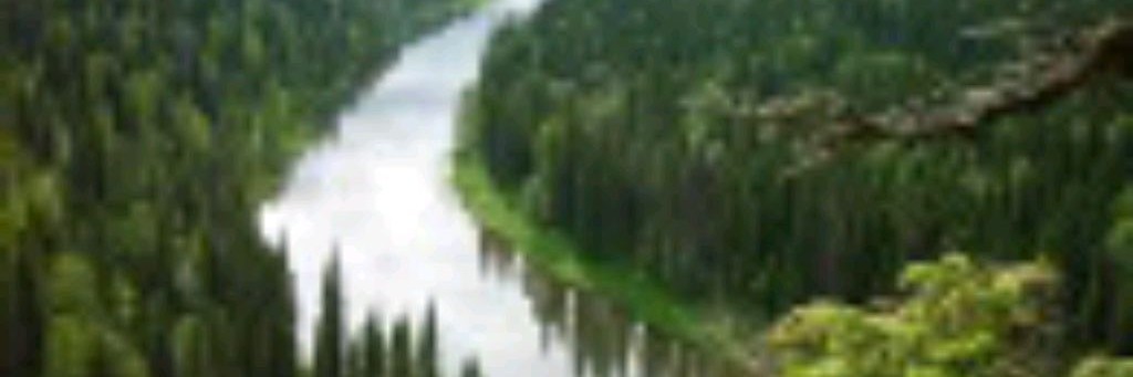 polinagromova