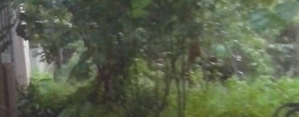 ММС Интерес.