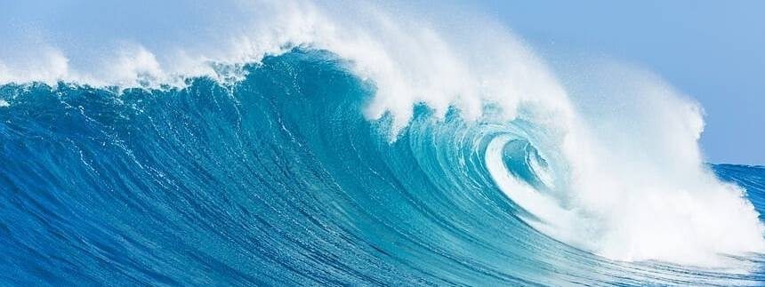 Admiral, Toronto. Рога и Копыта.