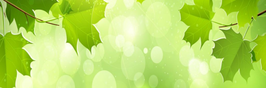 Виктор (VictorZ)