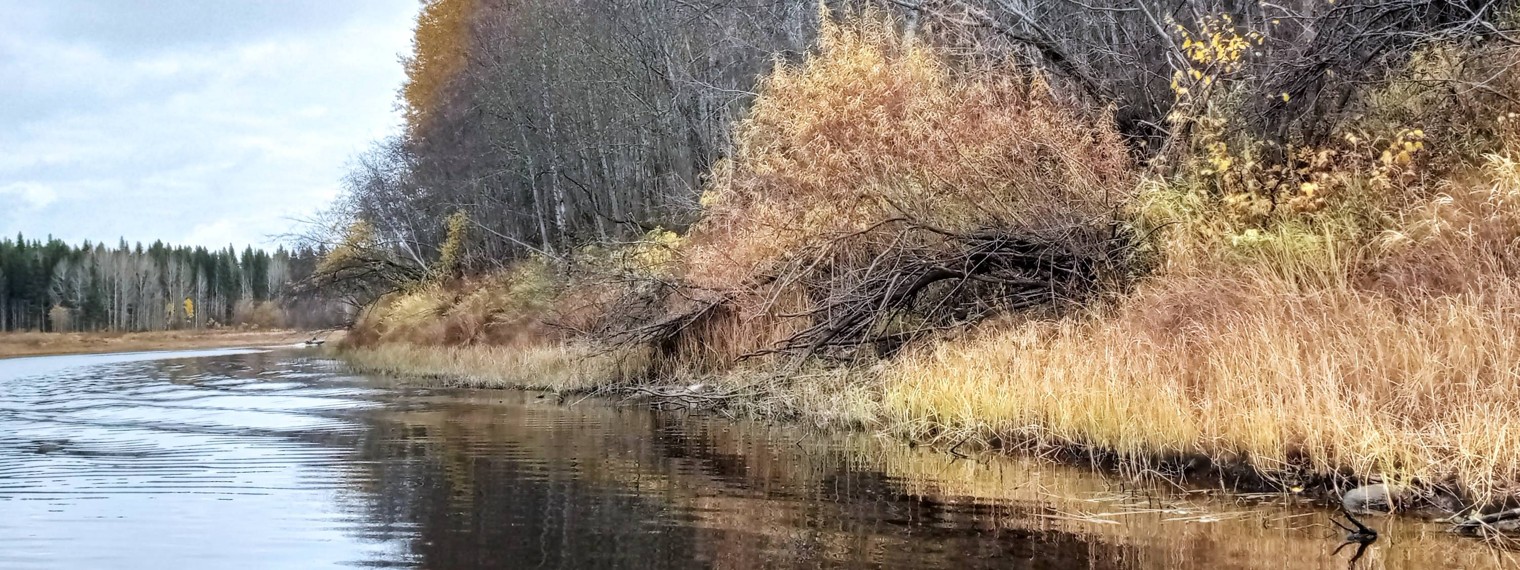 Валентин Бугров. Заметки лесоруба. О разном
