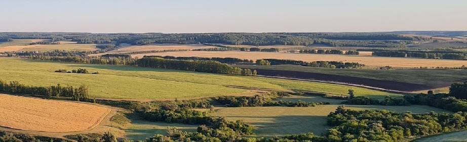 Айдар Рахманов