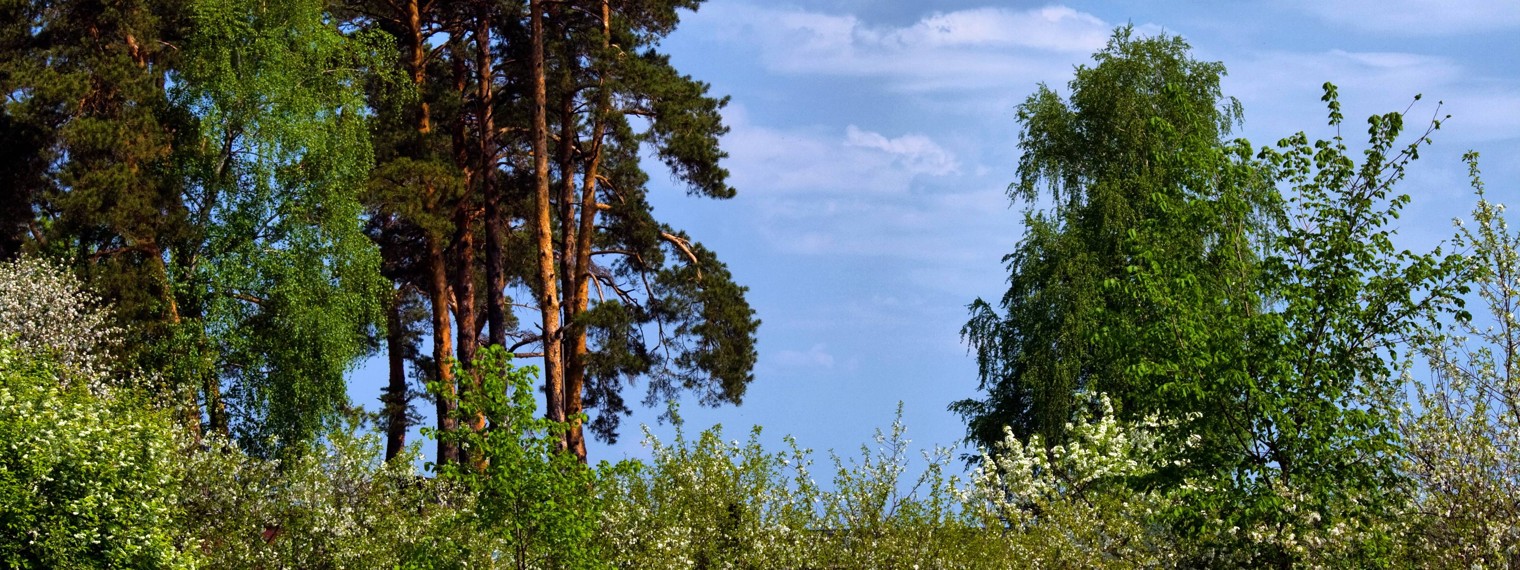 Михаил Евгеньевич