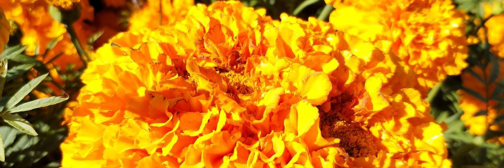 Наталья Демина