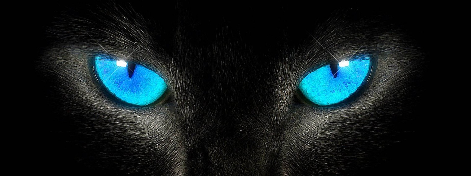 Ясмина Таро