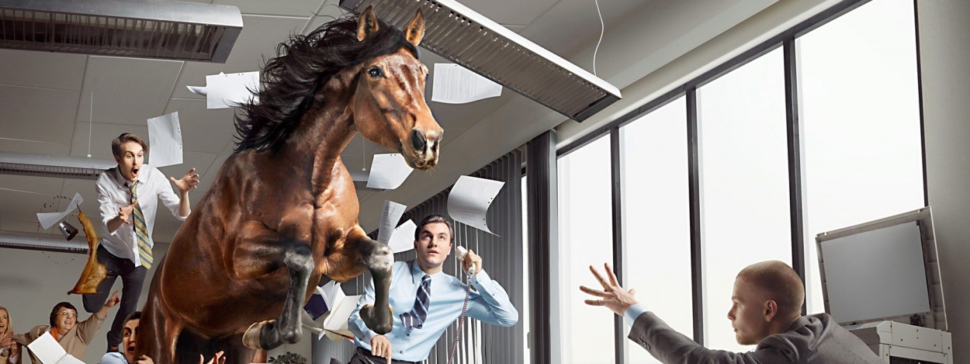 Маркетинг и точка