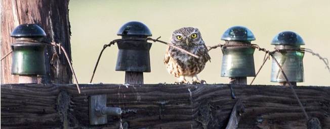 Роман Андреев - профессиональный трейдер