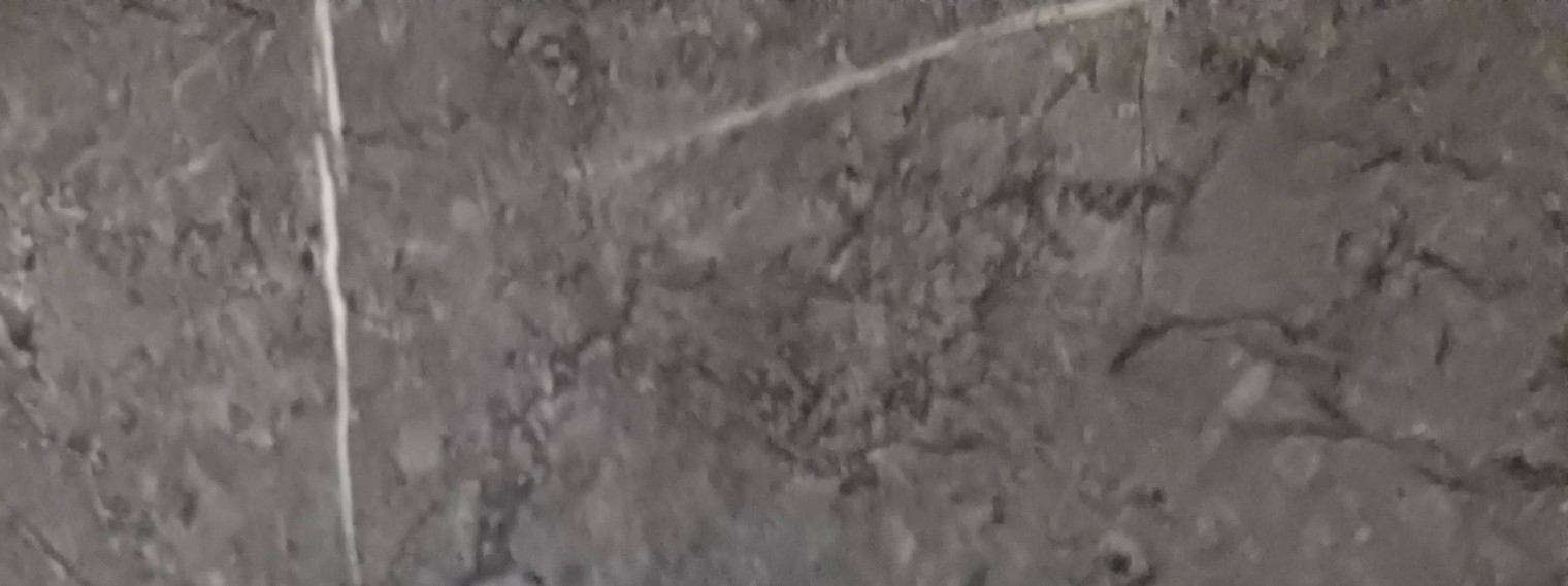 Lisa life(лИса лайф