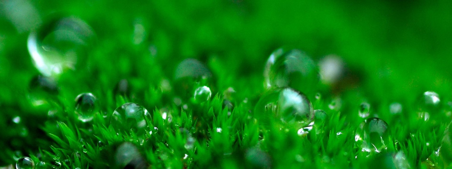 Автоматика для теплиц, оранжерей и зимних садов