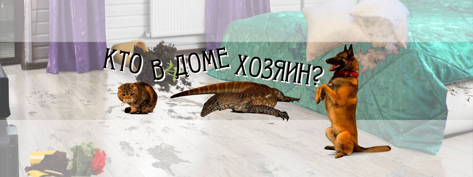 «Кто в доме хозяин? ONLINE»