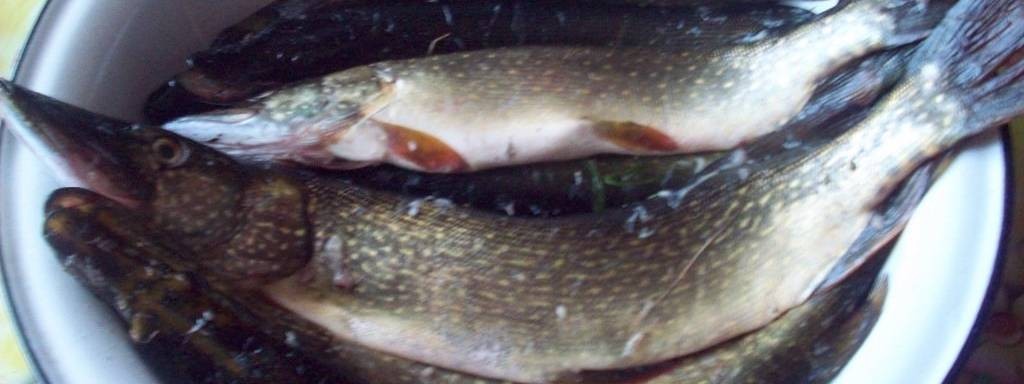 Fiching-Моё клёвое место!