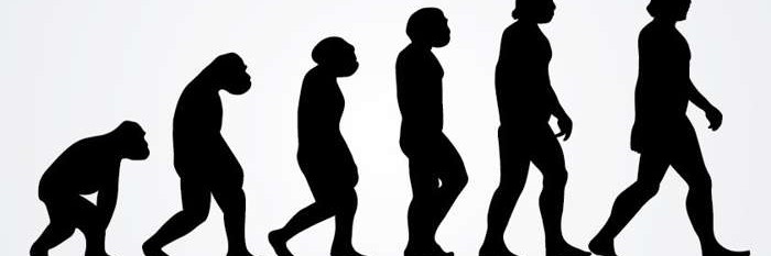 История Мира