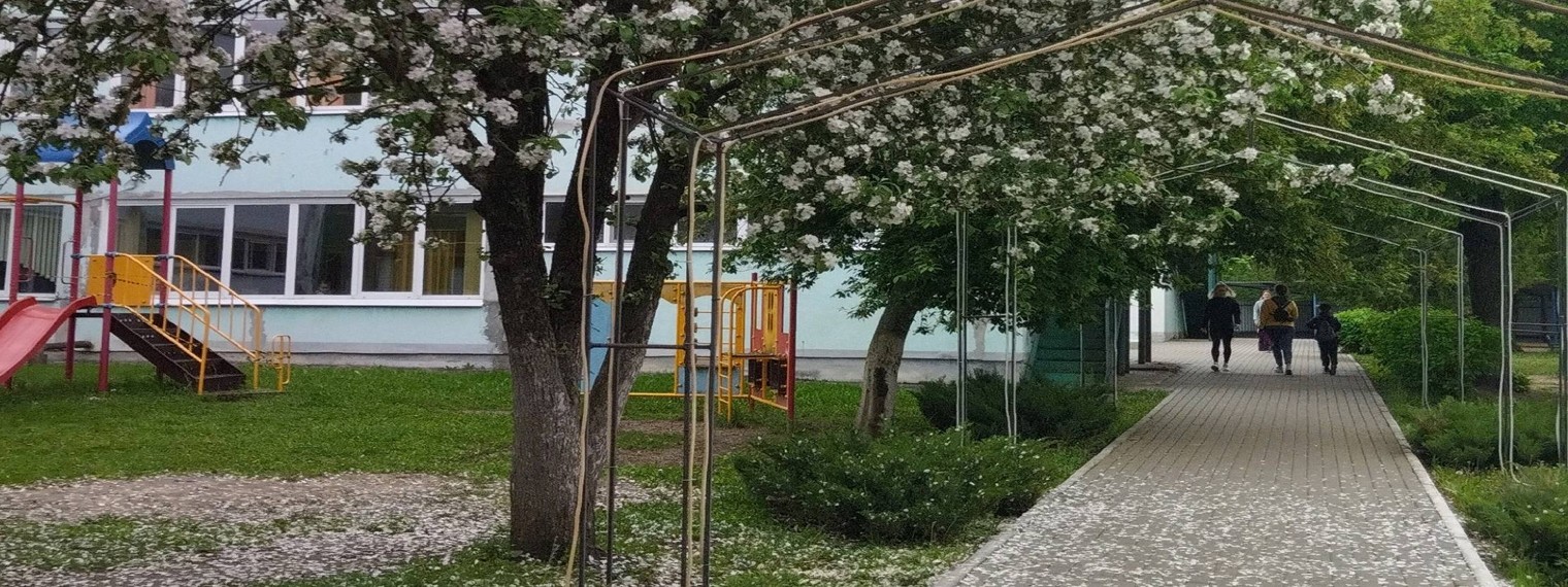 МБОУ "СОШ №5 ЦО г. Суворова им. Е.П. Тарасова"