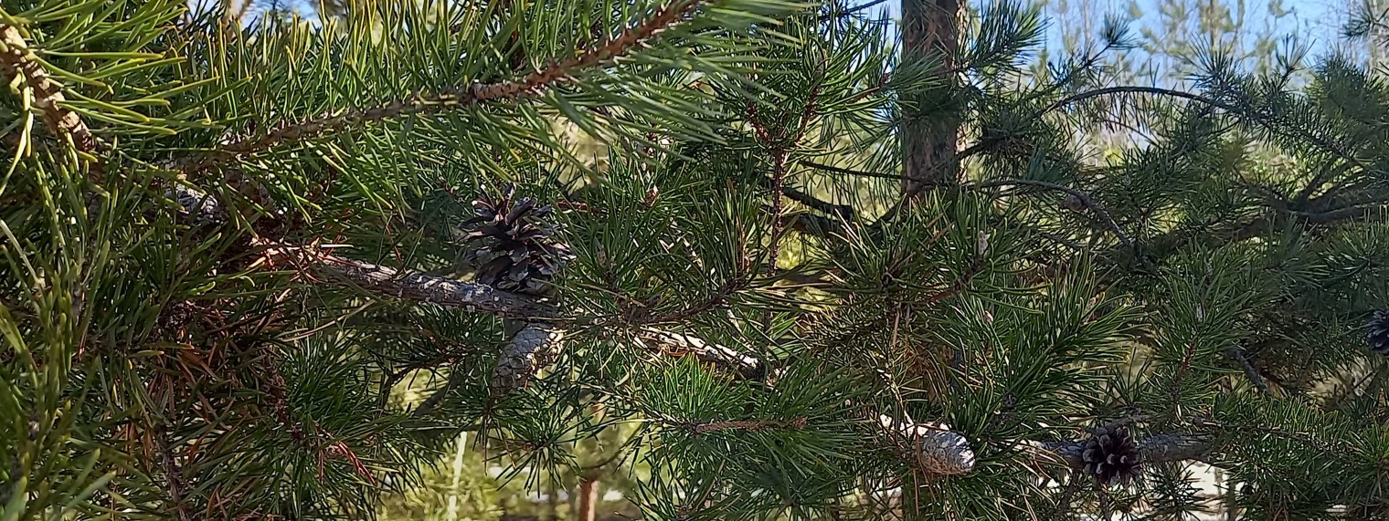 О полезном, вкусном, интересном