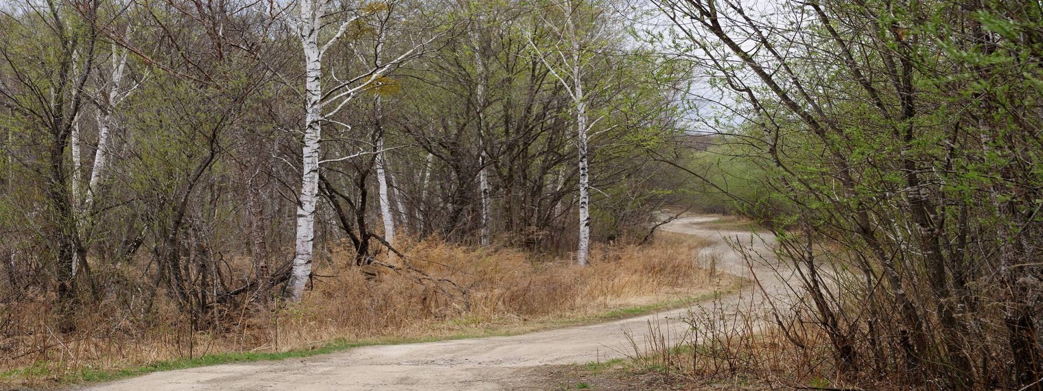 Мария Собакарева