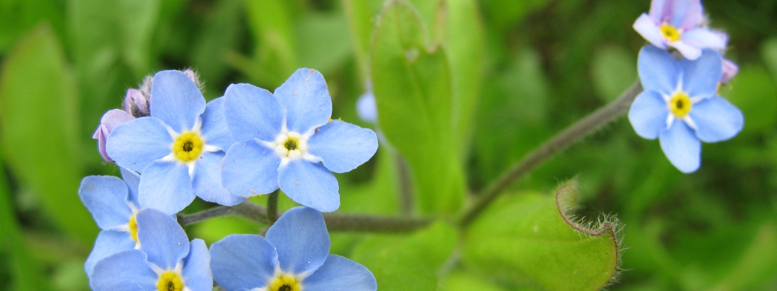 Церковь "Пробуждение" Минск