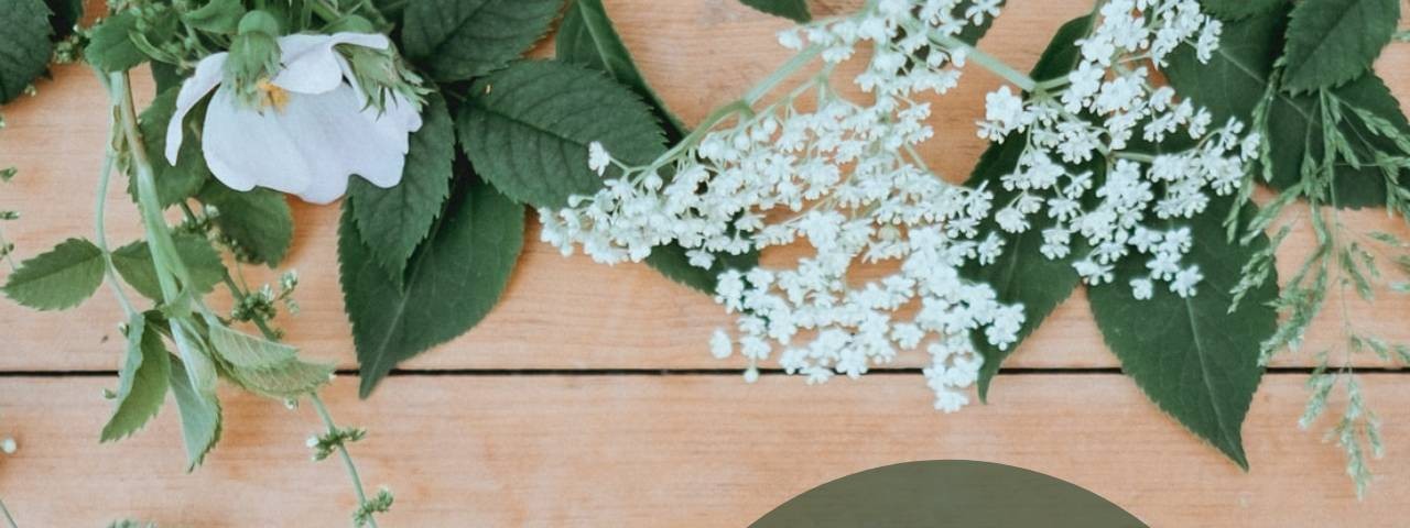 Елена-Искусница