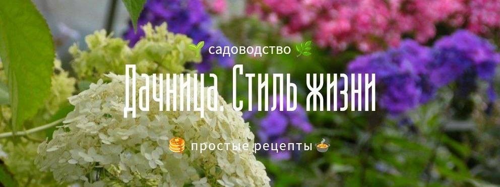 Дачница. Стиль жизни