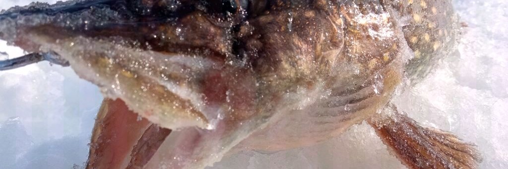 замир/рыбак/охотник