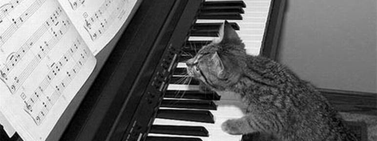 Дистанционное сольфеджио с Татьяной Сиротиной