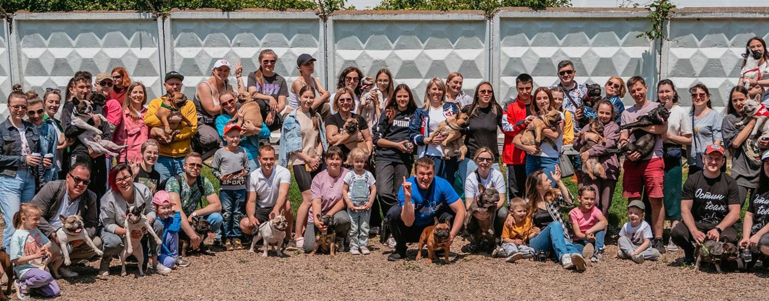 Дрессировка собак