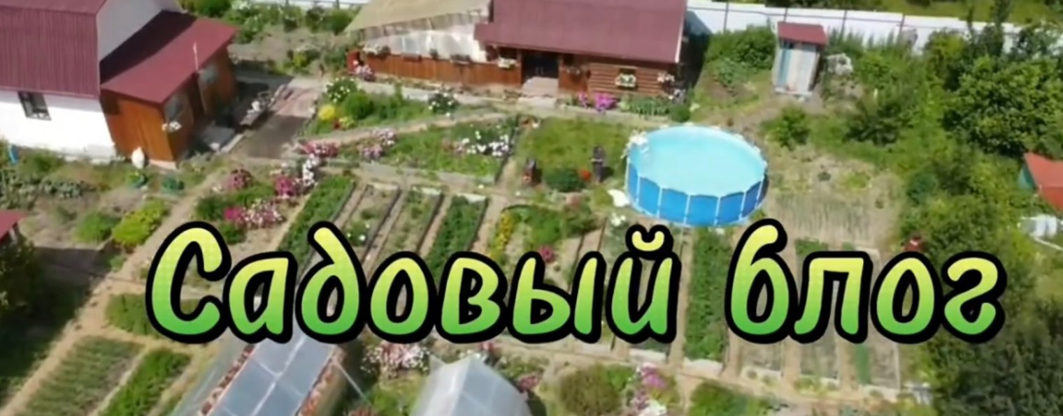 Садовый блог